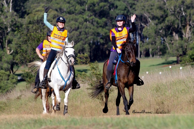 2017 MAXXIS Wingello Forest Endurance Ride – Southern Highlands ...